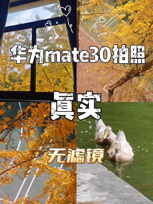 华为mate30拍照功能介绍图标
