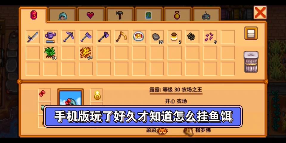 星露谷物语怎么挂鱼饵截图