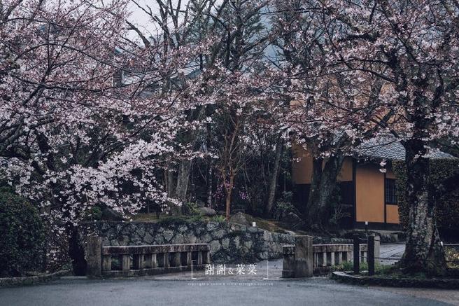乐至县的樱花道场在那里图标