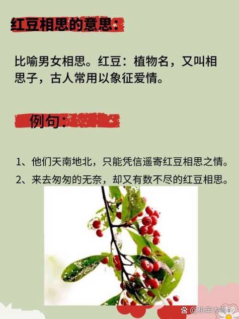 红豆的寓意图标