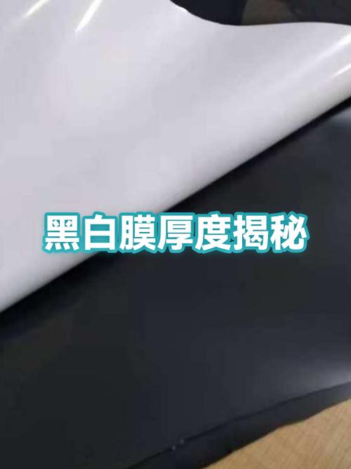 黑膜和白膜哪个效果好图标