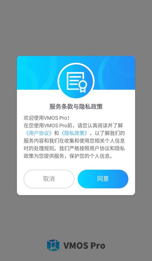 vmospro永久会员图标