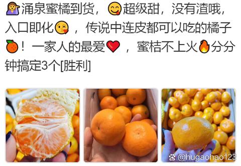 关于柑橘的文案图标