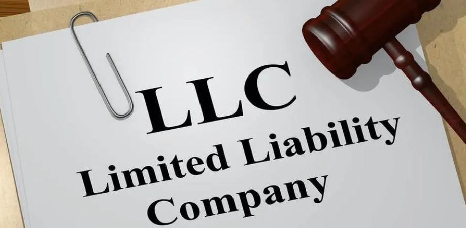 美国llc公司图标