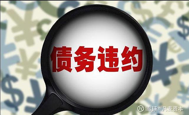 U盾展期图标