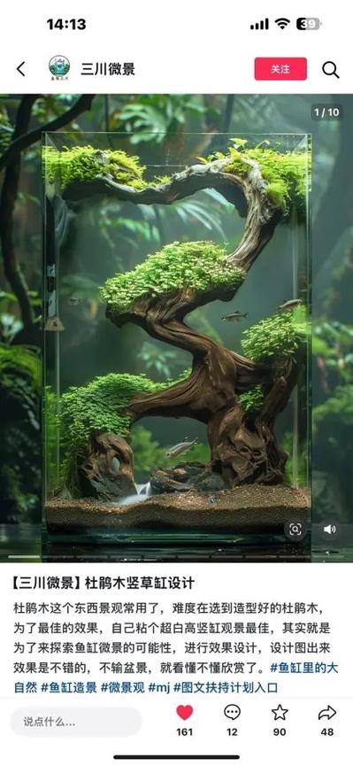 鱼缸造景沉木怎么制作