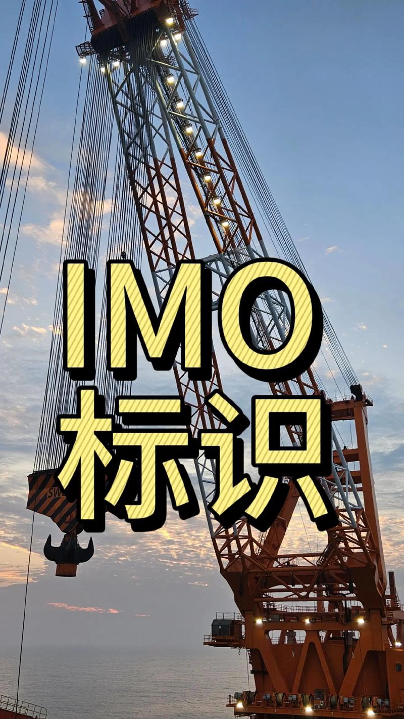 imo是什么意思截图