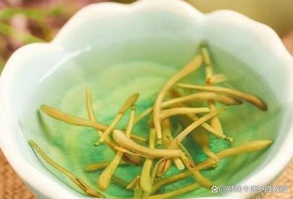 金银花蛇草水截图
