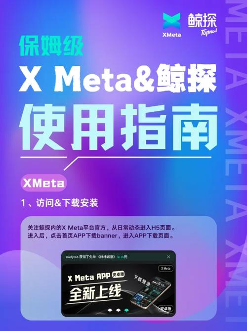 鲸探交易平台XM是什么