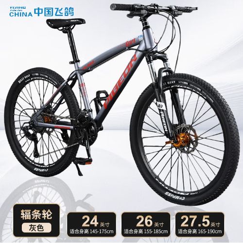 山地车21速够用吗图标