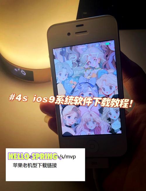 dmss苹果手机版下载图标