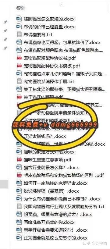猫舍赚钱是不是很容易图标