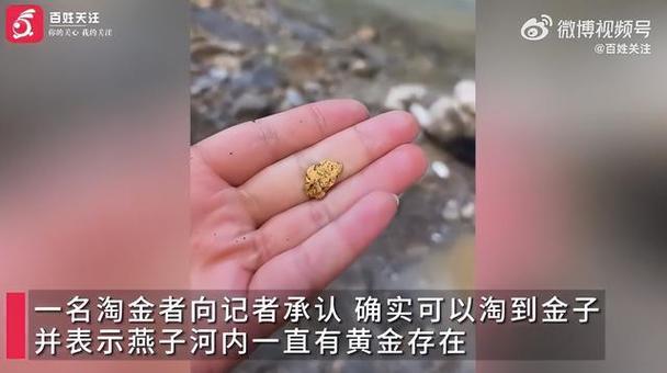 芝麻淘金合法吗图标