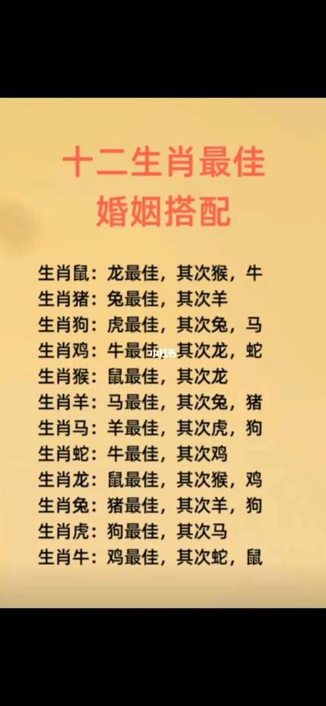 男虎女马的婚姻与财运截图