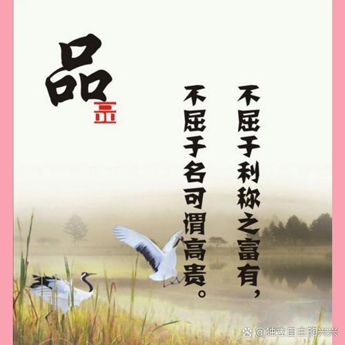 自觉矜贵正确解释