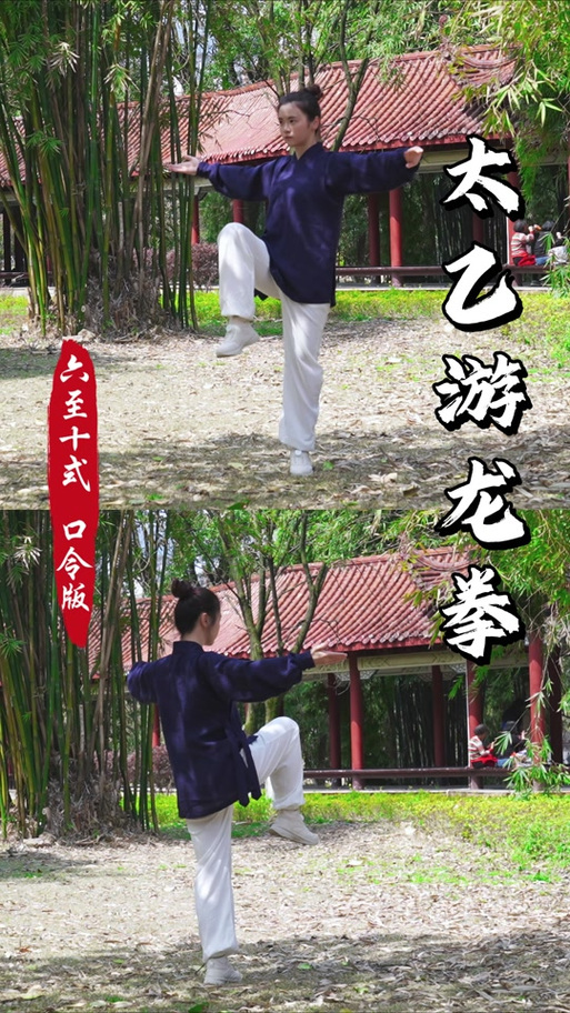 太乙游龙拳谱快速记忆法图标