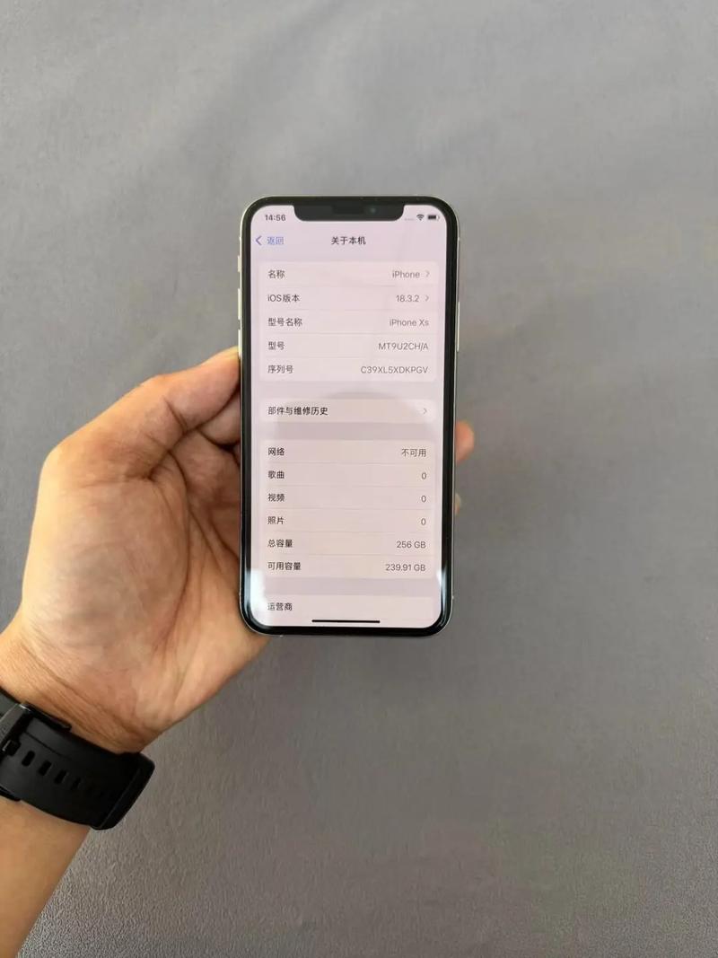 iPhonexs怎么进入诊断模式图标