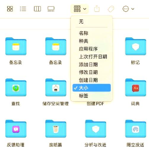 苹果电脑的系统内存如何清理截图