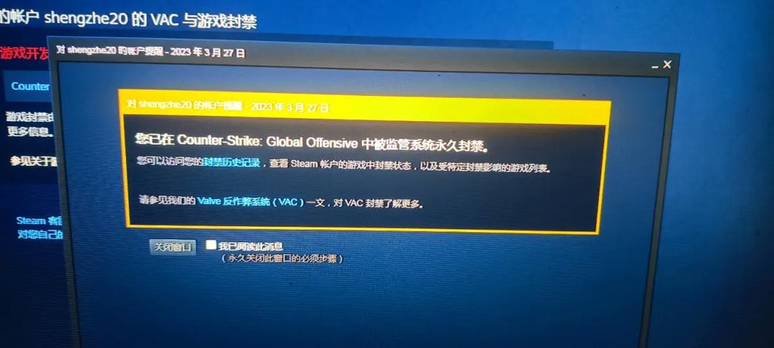 steam号被vac就废了吗图标