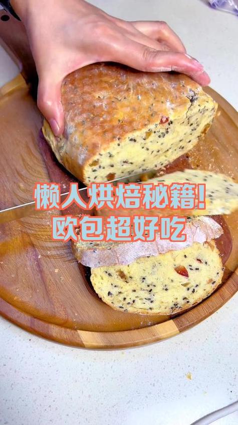 懒人面包视频教程图标
