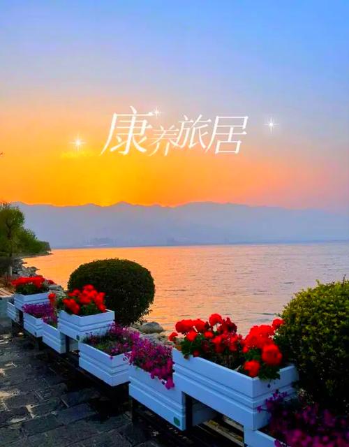 康养商城是截图