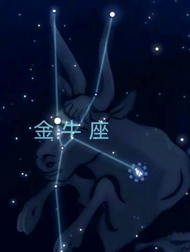 金牛最喜欢5个星座截图