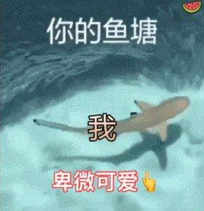 送你一片鱼塘