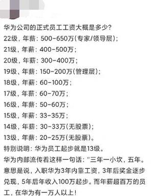 华为16级税后年薪多少图标