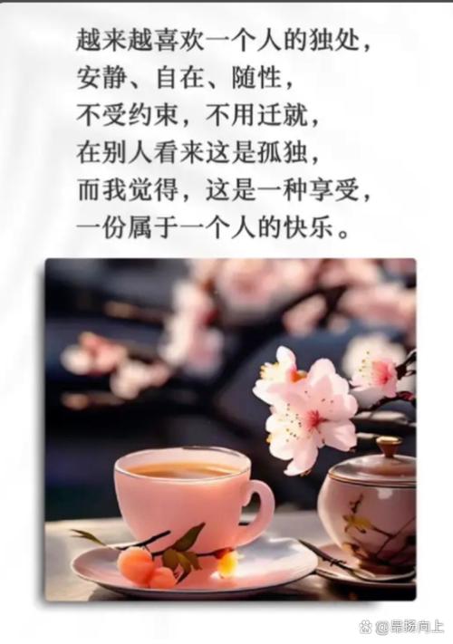 享受安静和独处的文案截图
