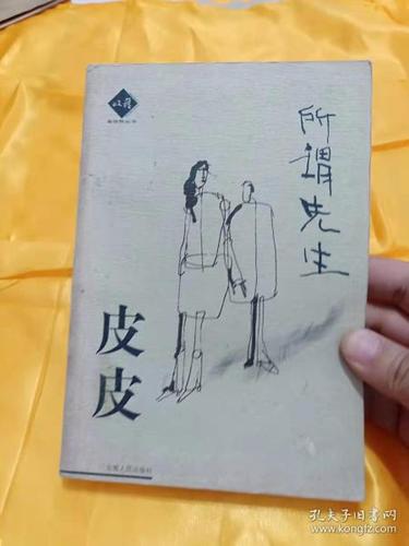 皮皮书是什么意思截图