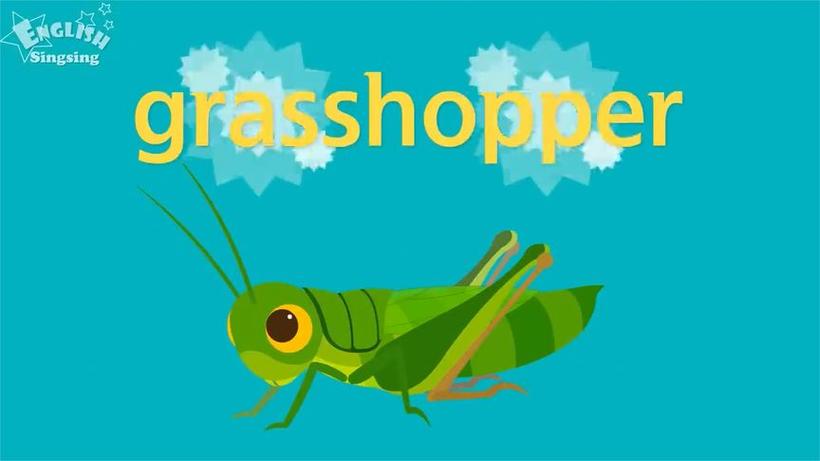 蚂蚱英语grasshopper截图