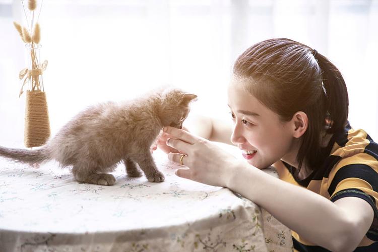 跟女孩子聊猫截图