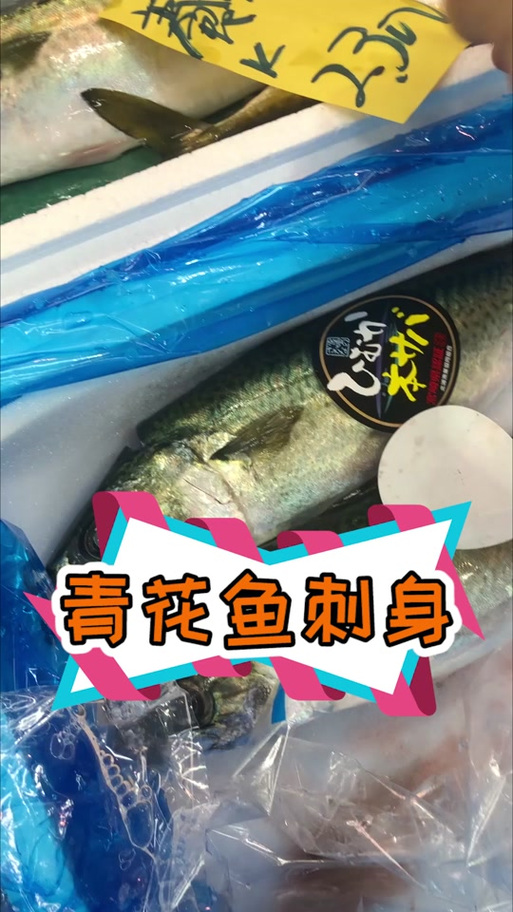 青花鱼养殖交流论坛图标