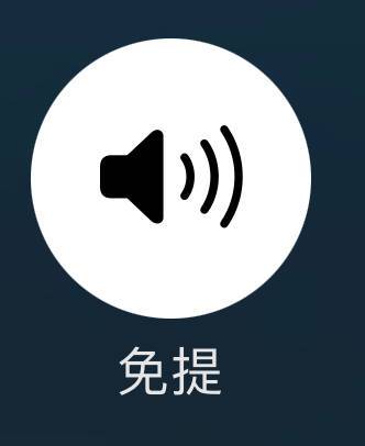 苹果的免提功能没有了图标