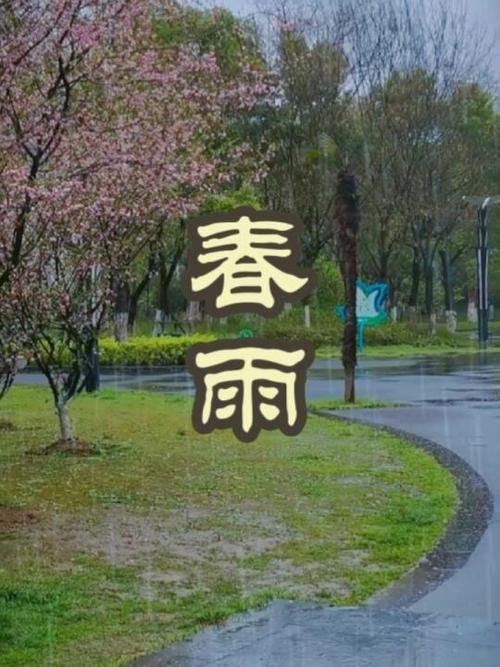 春雨旧版图标