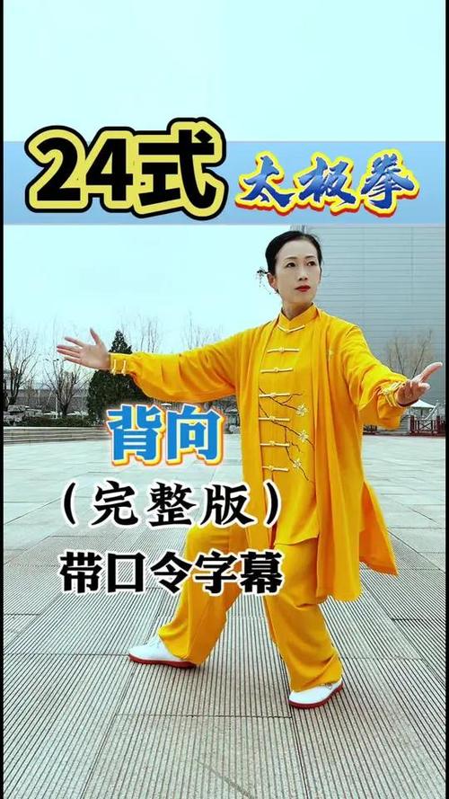 陈式24式背面口令图标