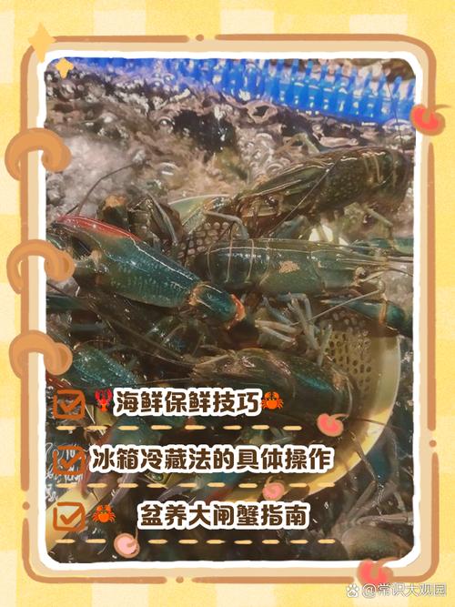 买回来的活海鲜能放几天图标