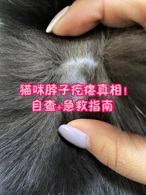 身上大红疙瘩很痒很硬图标