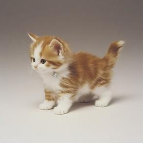 3D打印小猫图标