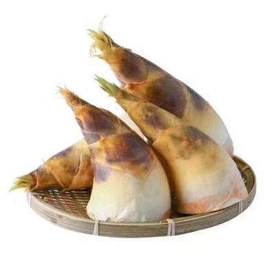 竹笋商城app是真是假图标