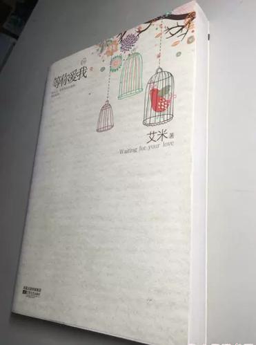 艾米小说等你爱我完结截图