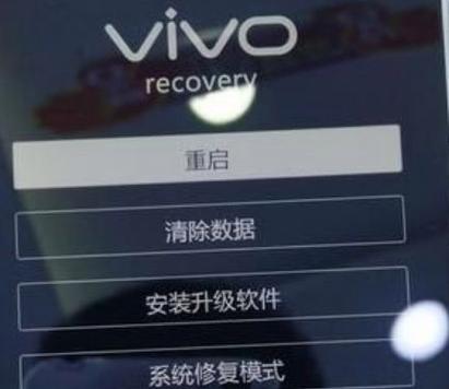 vivo怎么降级到旧版本截图