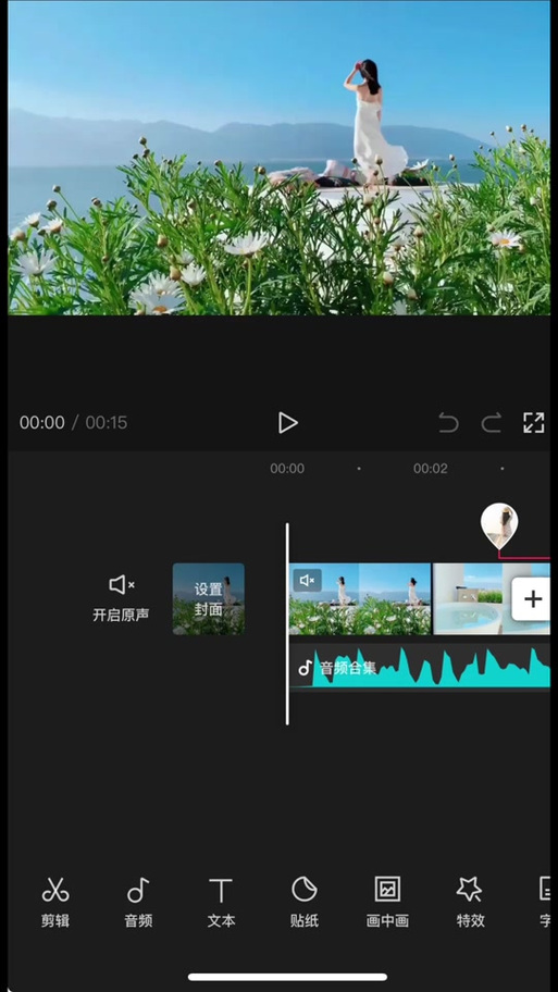 视频怎么衔接自然图标