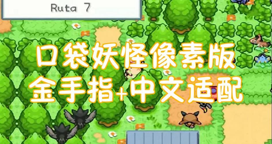 口袋妖怪黑白2宠物金手指代码