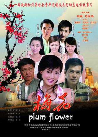荷兰电影梅花完整版图标