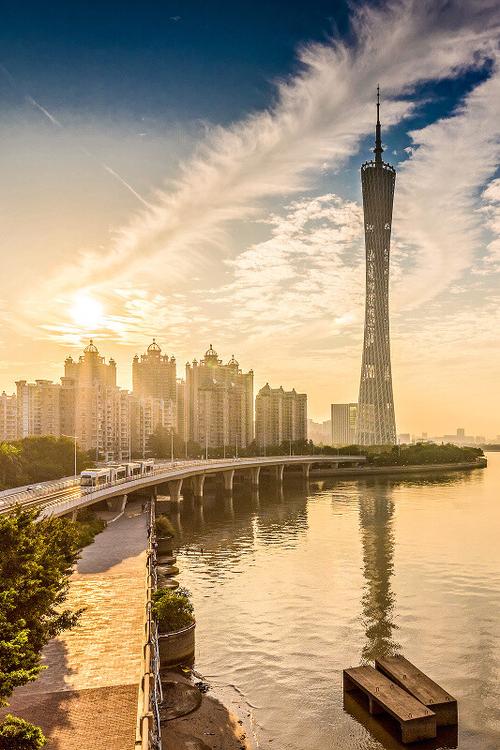 关于跑酷的小说图标