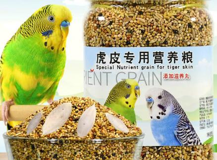 鹦鹉粮多久换一次图标