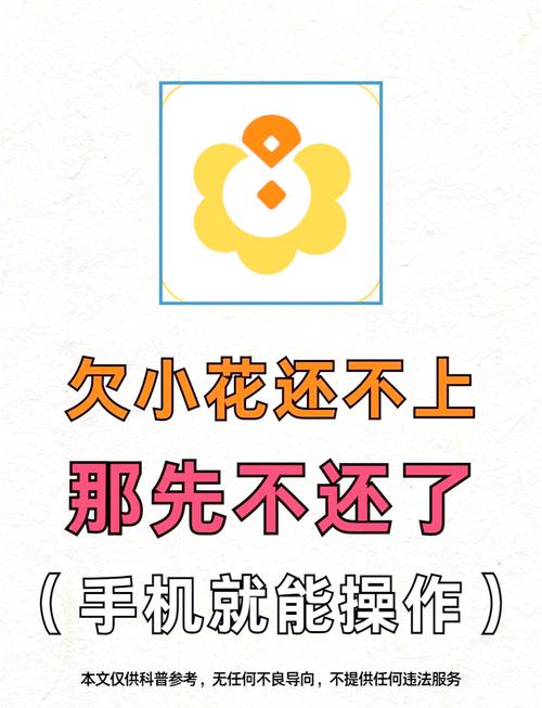 小花钱包为什么还不了款了截图