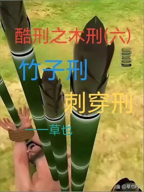 刑罚分类6大类