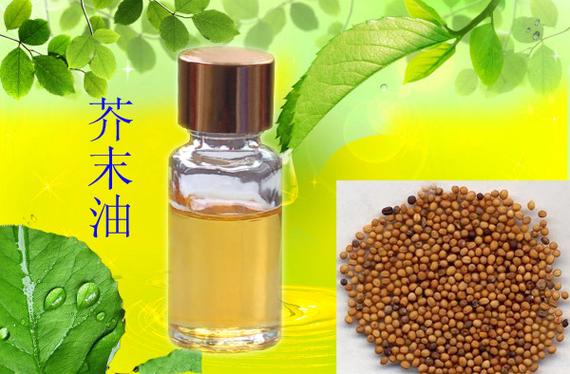 芥末油和芥末一样吗图标